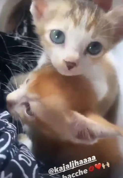 Noor Malabika Age, Boyfriend, Family, Biography & More - Social Media Nob